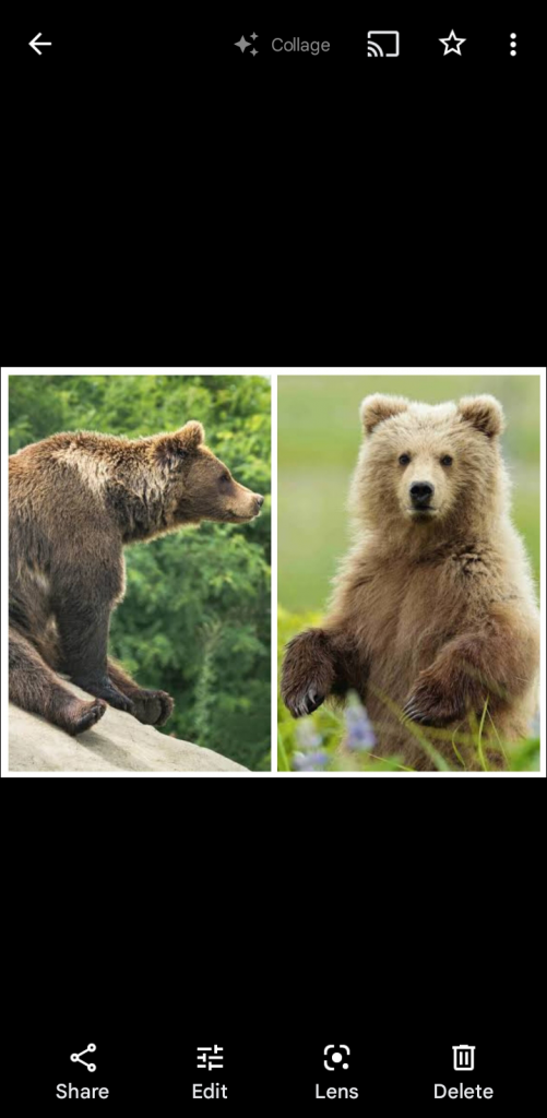 How To Put 2 Pictures Side by Side