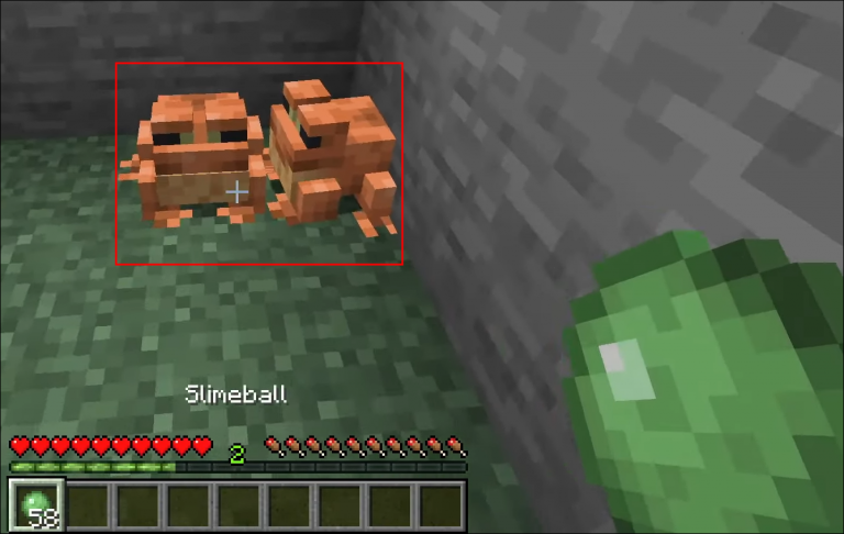 How to Breed Frogs in Minecraft