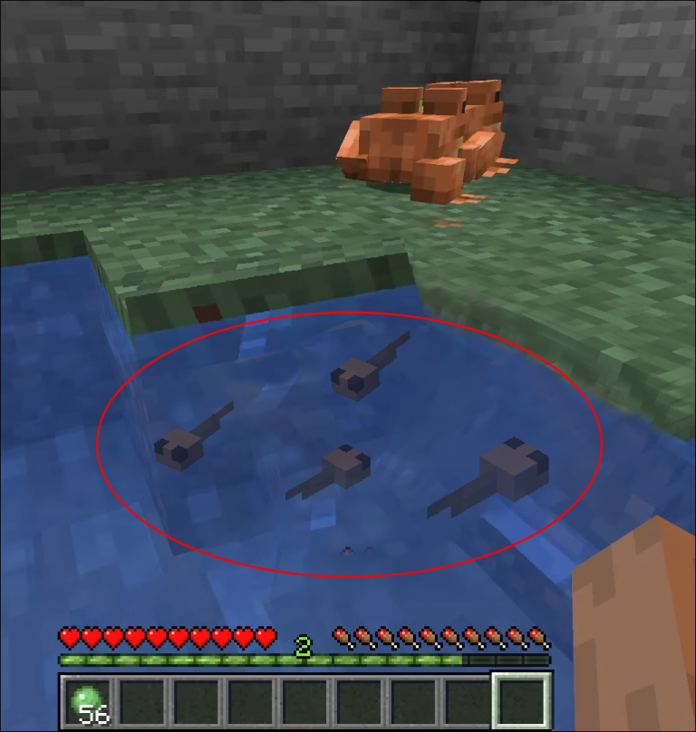 How to Breed Frogs in Minecraft
