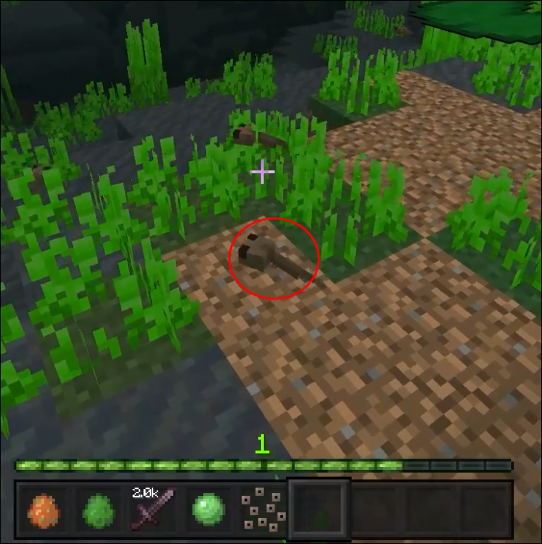 How to Breed Frogs in Minecraft