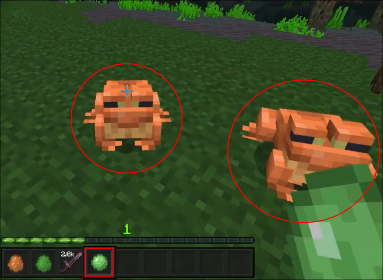 How to Breed Frogs in Minecraft