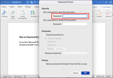 How to Password-Protect a Word Document
