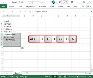 How To Make Text Fit in a Cell in Excel