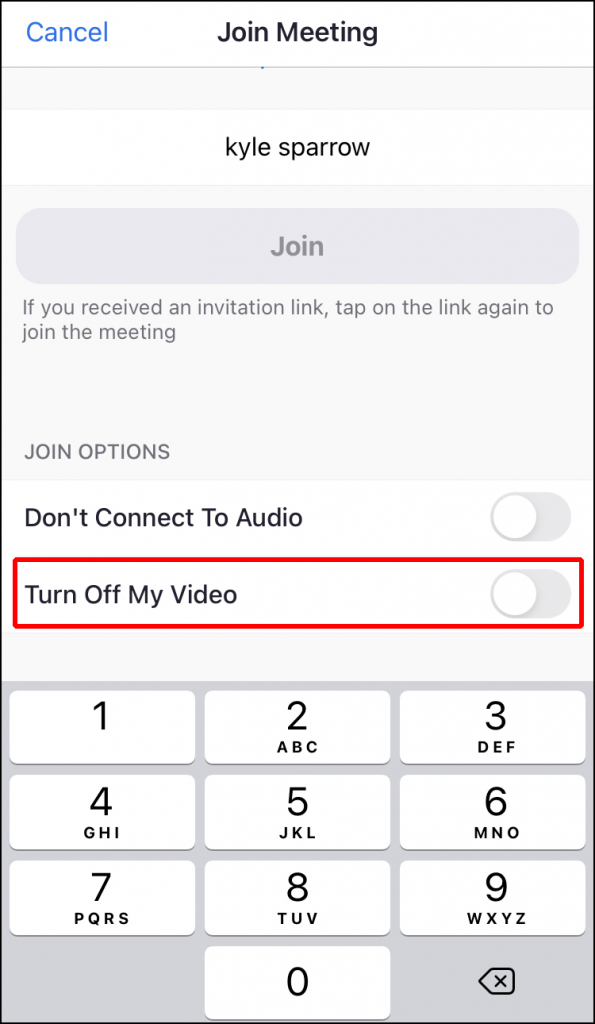 How To Show Profile Pictures Instead of Video on a Zoom Call