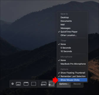 How To Stop Screen Recording in QuickTime