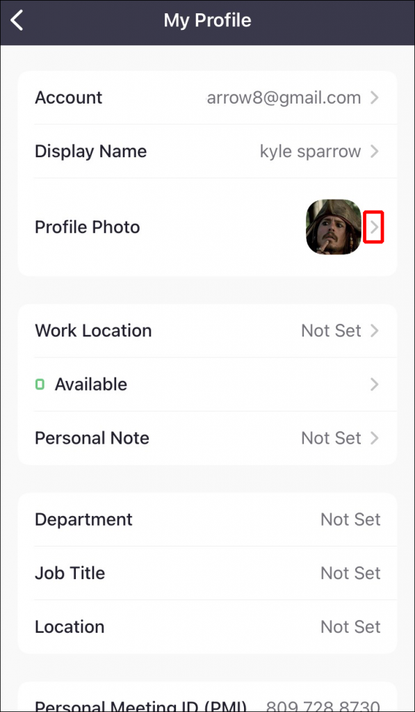 How To Show Profile Pictures Instead of Video on a Zoom Call