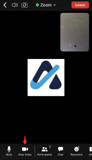 How To Show Profile Pictures Instead of Video on a Zoom Call