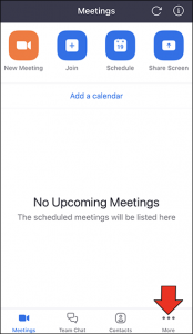 How To Show Profile Pictures Instead of Video on a Zoom Call