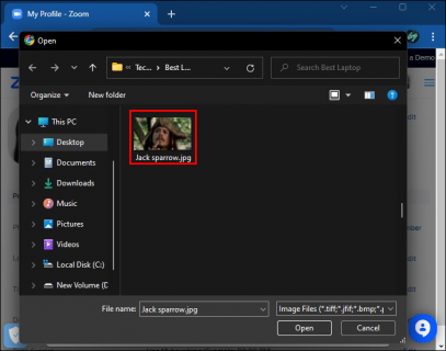 How To Show Profile Pictures Instead of Video on a Zoom Call