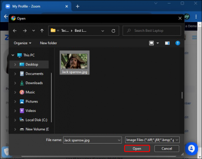 How To Show Profile Pictures Instead of Video on a Zoom Call