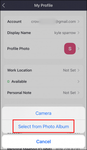 How To Show Profile Pictures Instead of Video on a Zoom Call