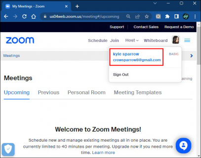 How To Show Profile Pictures Instead of Video on a Zoom Call