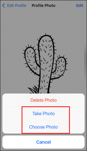 How To Fix a WhatsApp Profile Pic Not Showing