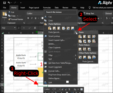 How to Copy Values in Excel [Not the Formula]