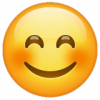 Telegram Emoji Meanings - A Complete List