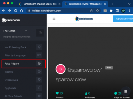 How to Detect Fake Twitter Accounts