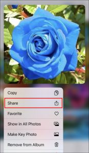 How to Email Photos From an iPhone or Android Device