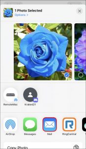 How to Email Photos From an iPhone or Android Device