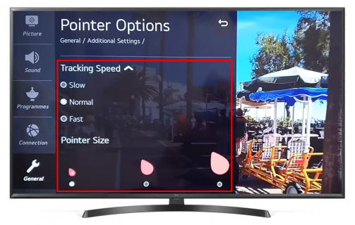 How To Turn Off the Pointer on an LG TV