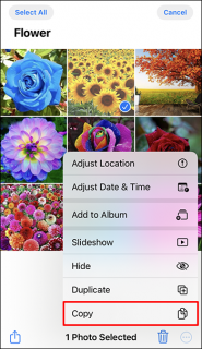 How to Send Multiple Photos in a Text From an iPhone