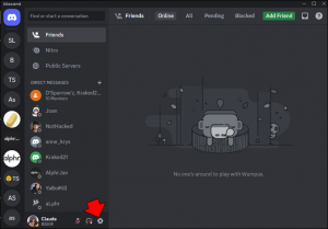 How to See Deleted DMs in Discord