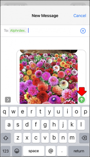 How to Send Multiple Photos in a Text From an iPhone