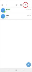 How to Delete a Secret Chat in Telegram