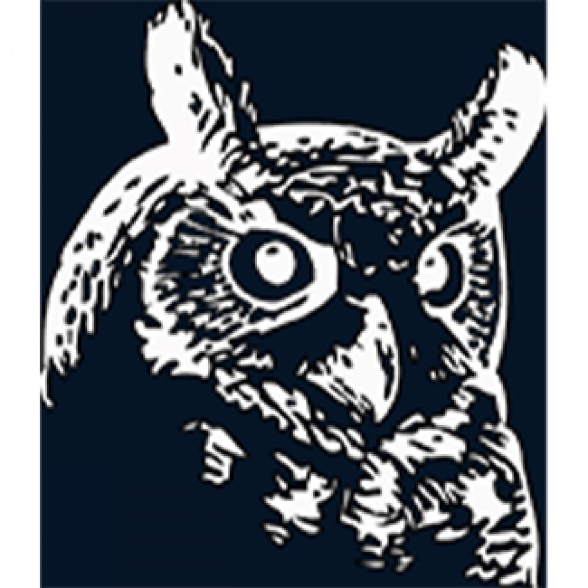 The Best Visual Studio Code Themes