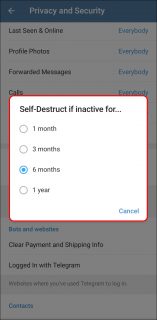 Does Telegram Use End to End Encryption? It Can, Yes