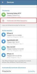 Does Telegram Use End to End Encryption? It Can, Yes