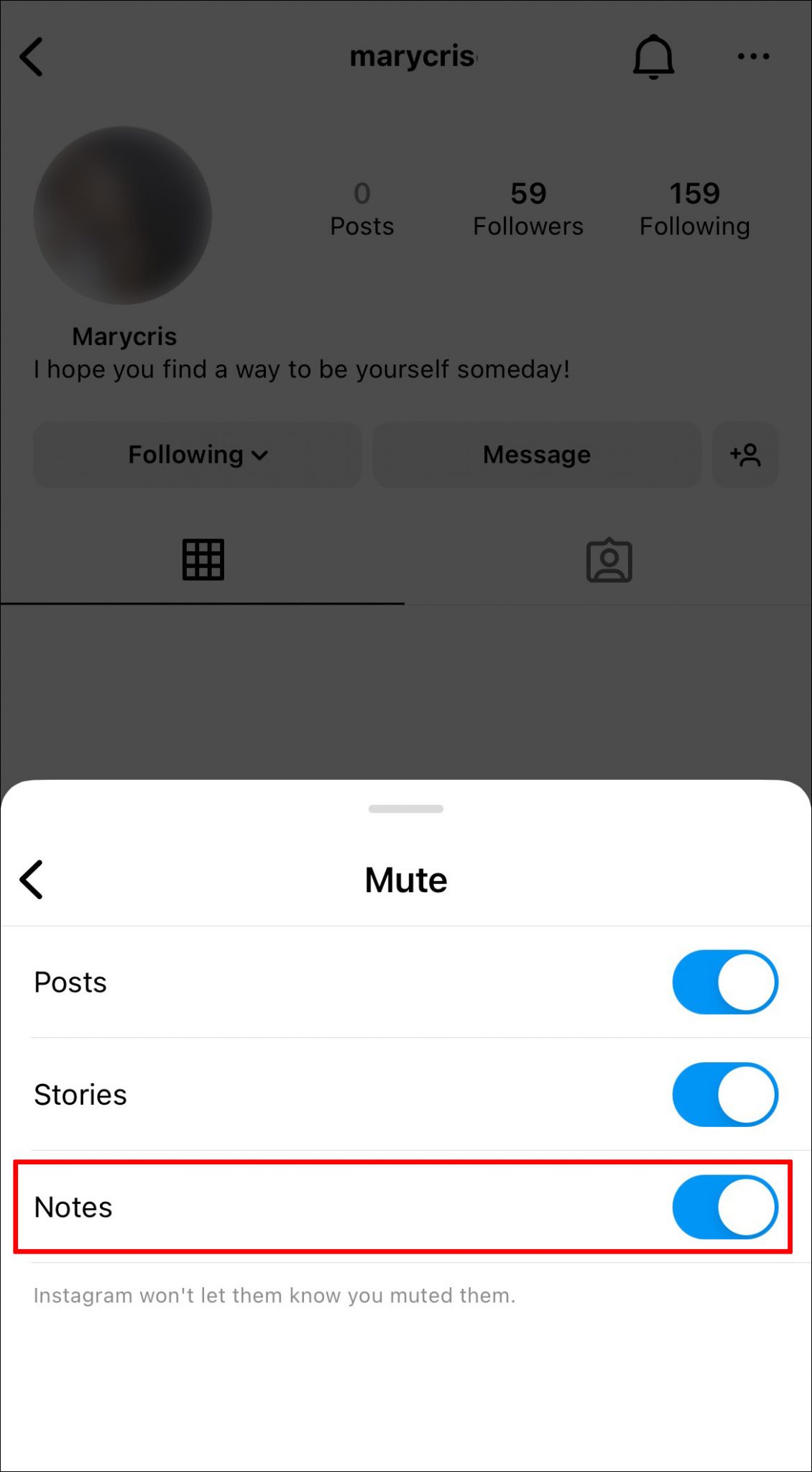 How to Get Notes in Instagram