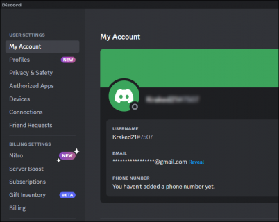 Discord Stuck on Starting