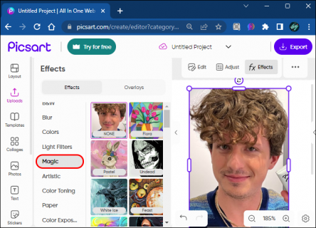 How to Make a Cartoon in Picsart