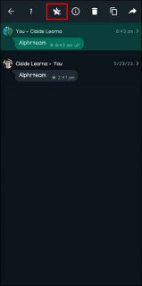 How to Find Starred Messages in WhatsApp