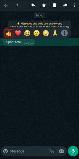 How to Know Who Liked Your Message on WhatsApp
