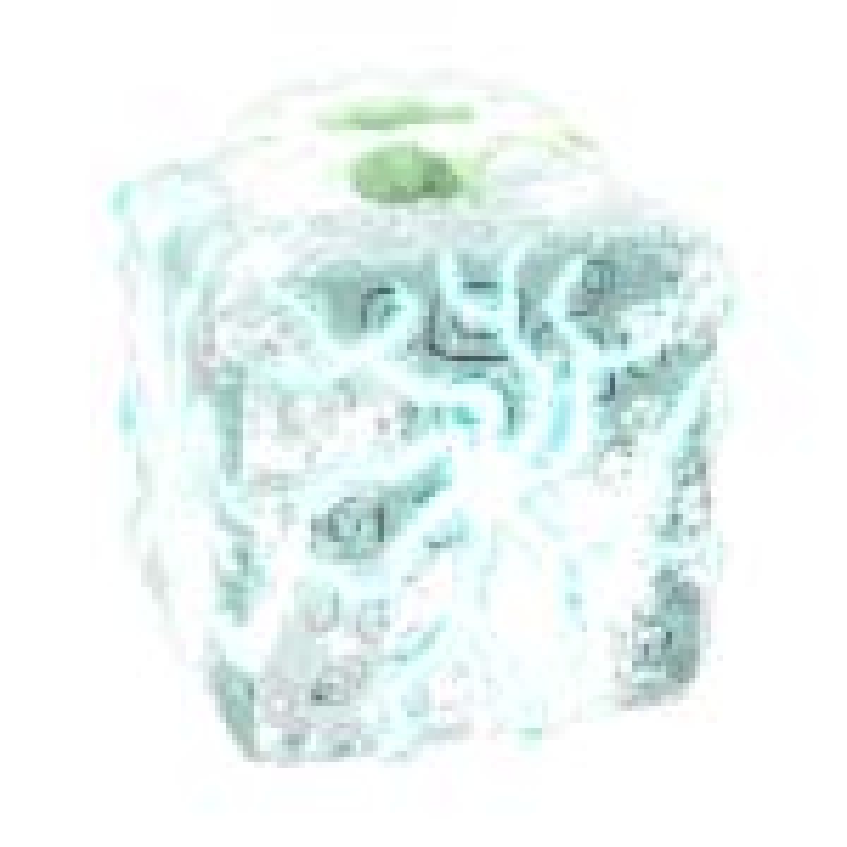 Blox Fruits vs. King Legacy