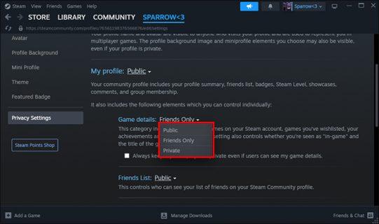 How to Hide Games From Friends in Steam