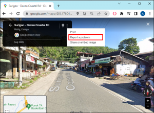 Why Is House Blurred in Google Maps?