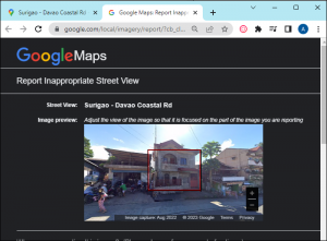 Why Is House Blurred in Google Maps?