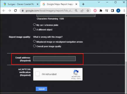 Why Is House Blurred in Google Maps?