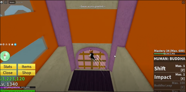 How to Get Mink V2 in Blox Fruits