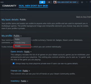 How to Hide Activity in Steam