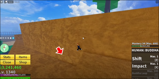 How to Get Mink V2 in Blox Fruits