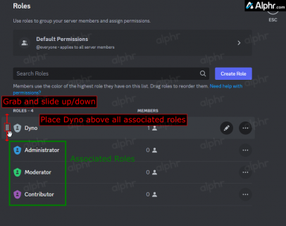 How to Automatically Give Roles in Discord