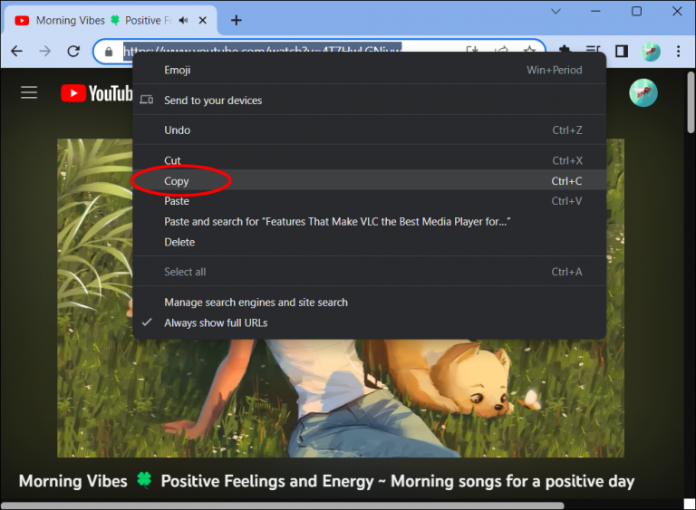 How To Setup VLC for Mac