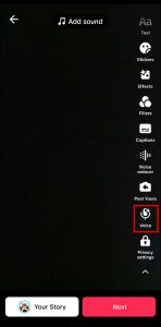 How to Get & Use Voice Filters in TikTok