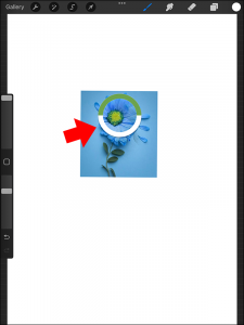 Procreate: How To Select Color from an Image