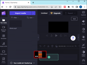 How to Get & Use Voice Filters in TikTok