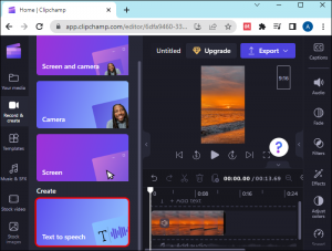 How to Get & Use Voice Filters in TikTok