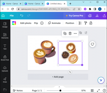 How to Make a Collage in Canva